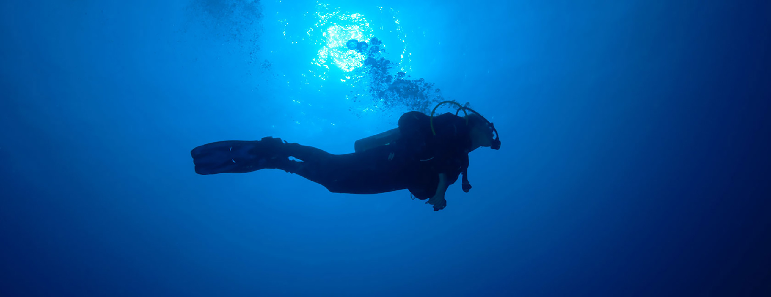 Devenir plongeur de combat : formation, qualités, salaire...
