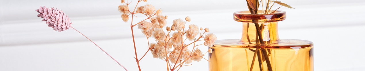 Réduction Bréal : tarifs et avantages Unéo